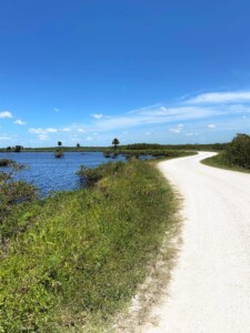 Merritt Island National Wildlife Refuge Tips for Visiting - The Florida ...