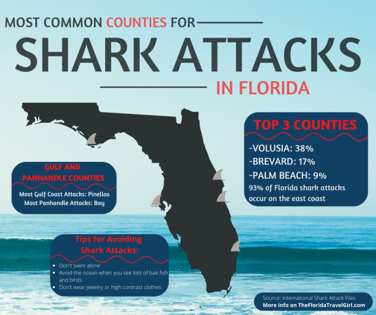 50+ Statistics on Sharks in Florida: Beaches with Most Attacks and More ...