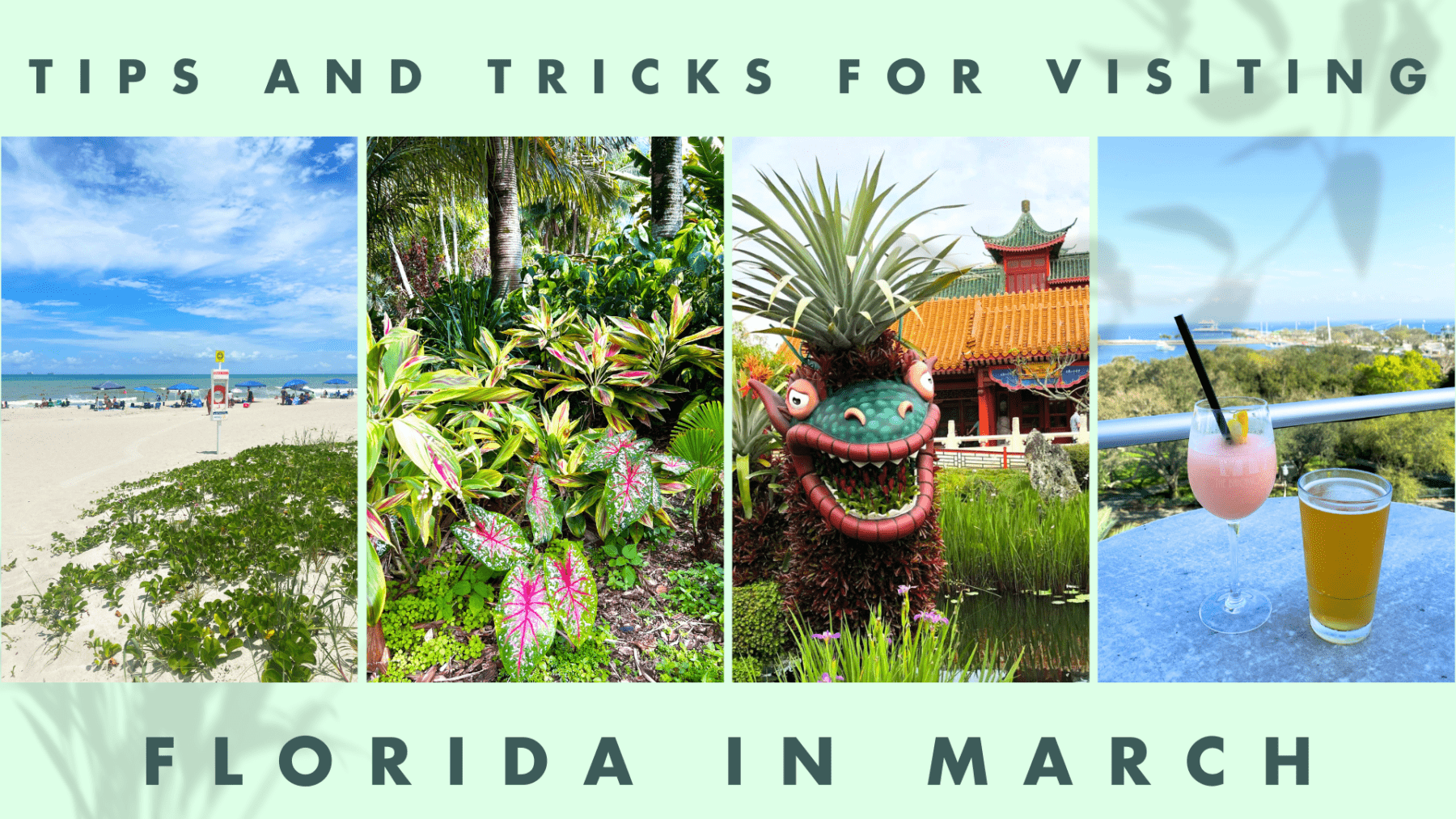 Your Ultimate Guide to the Sunshine State - The Florida Travel Girl
