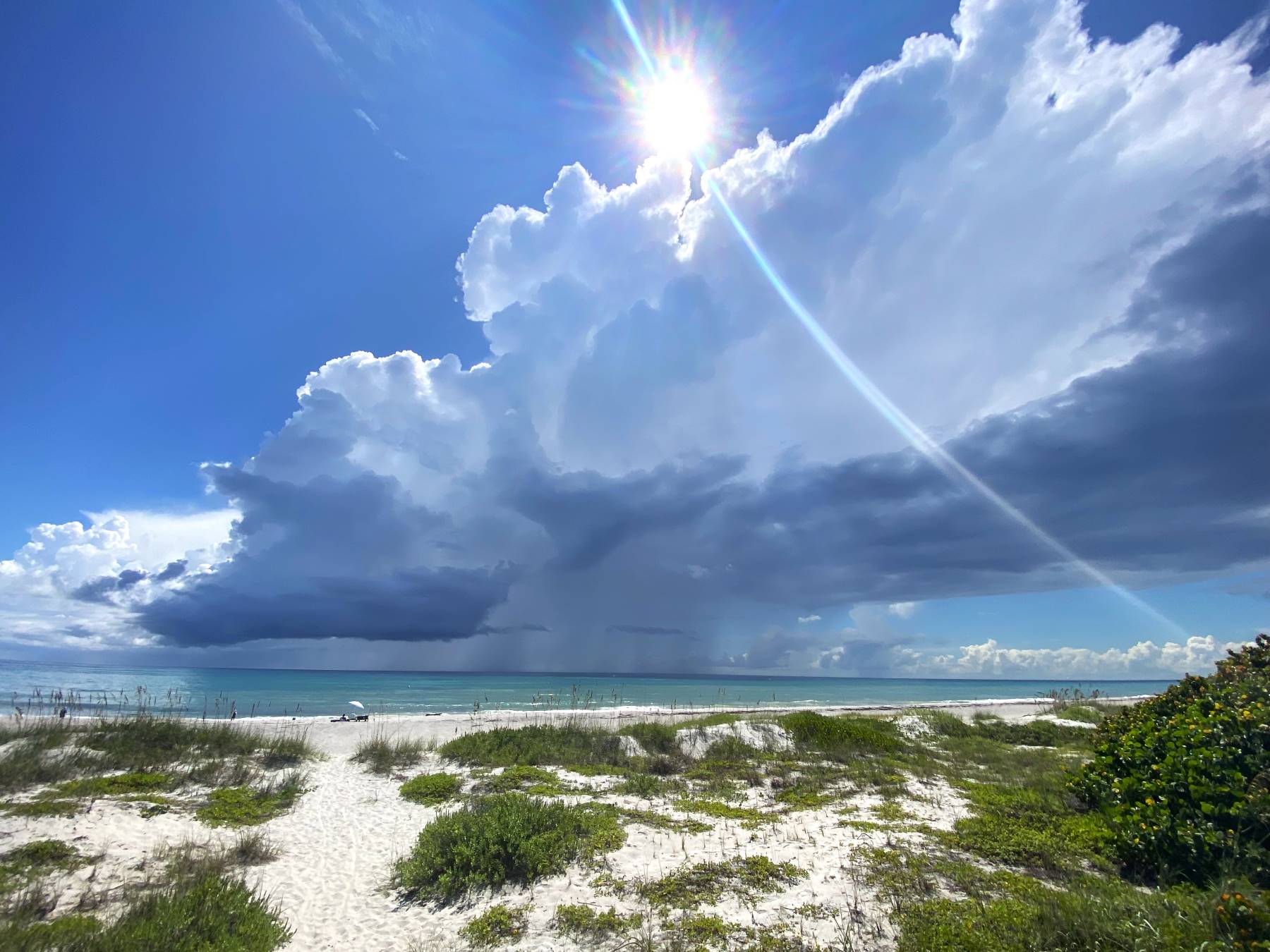 Tips and Tricks for Navigating Florida in June - The Florida Travel Girl