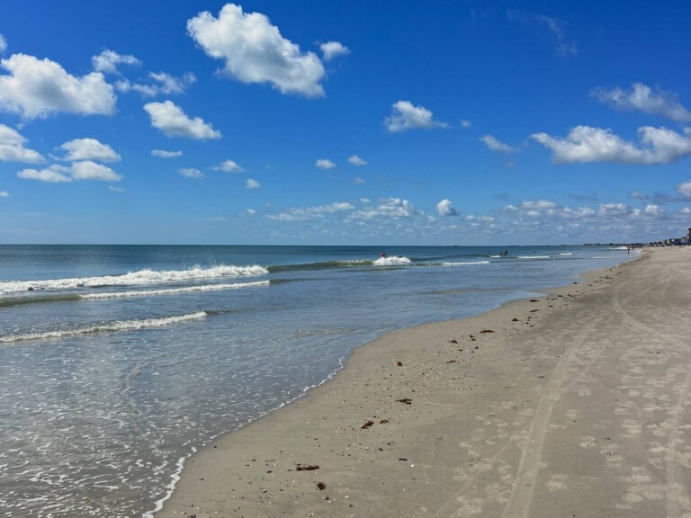July in the Sunshine State: Where to Go and What to See - The Florida ...