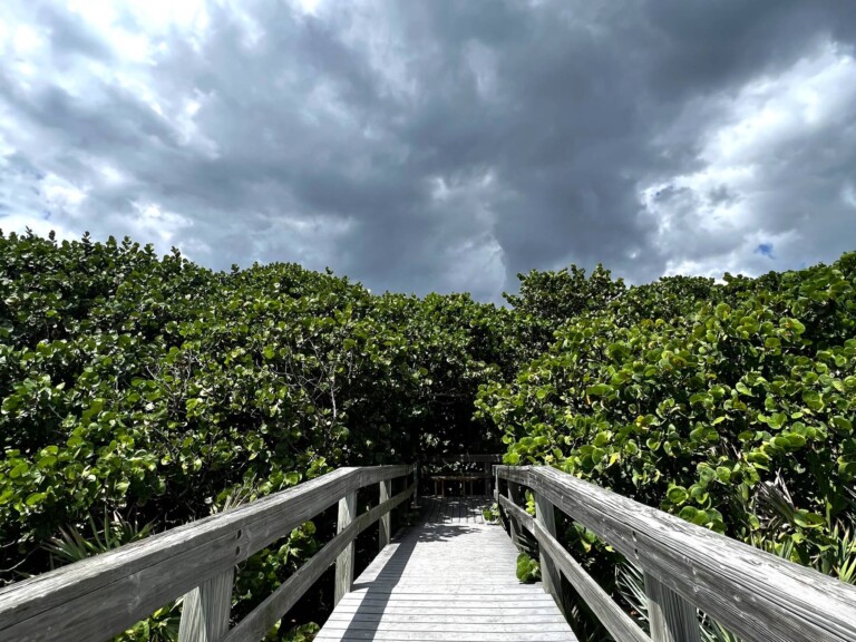 July in the Sunshine State: Where to Go and What to See - The Florida ...