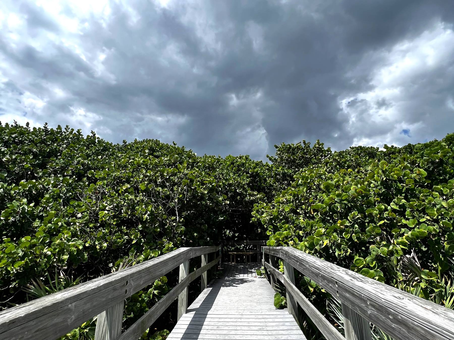 July in the Sunshine State: Where to Go and What to See - The Florida ...
