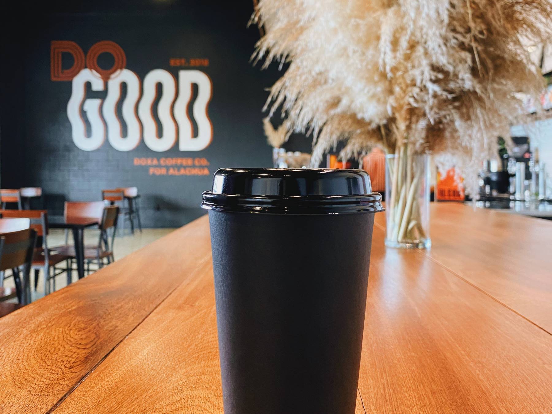 15 Must-Visit Coffee Shops in Florida - The Florida Travel Girl
