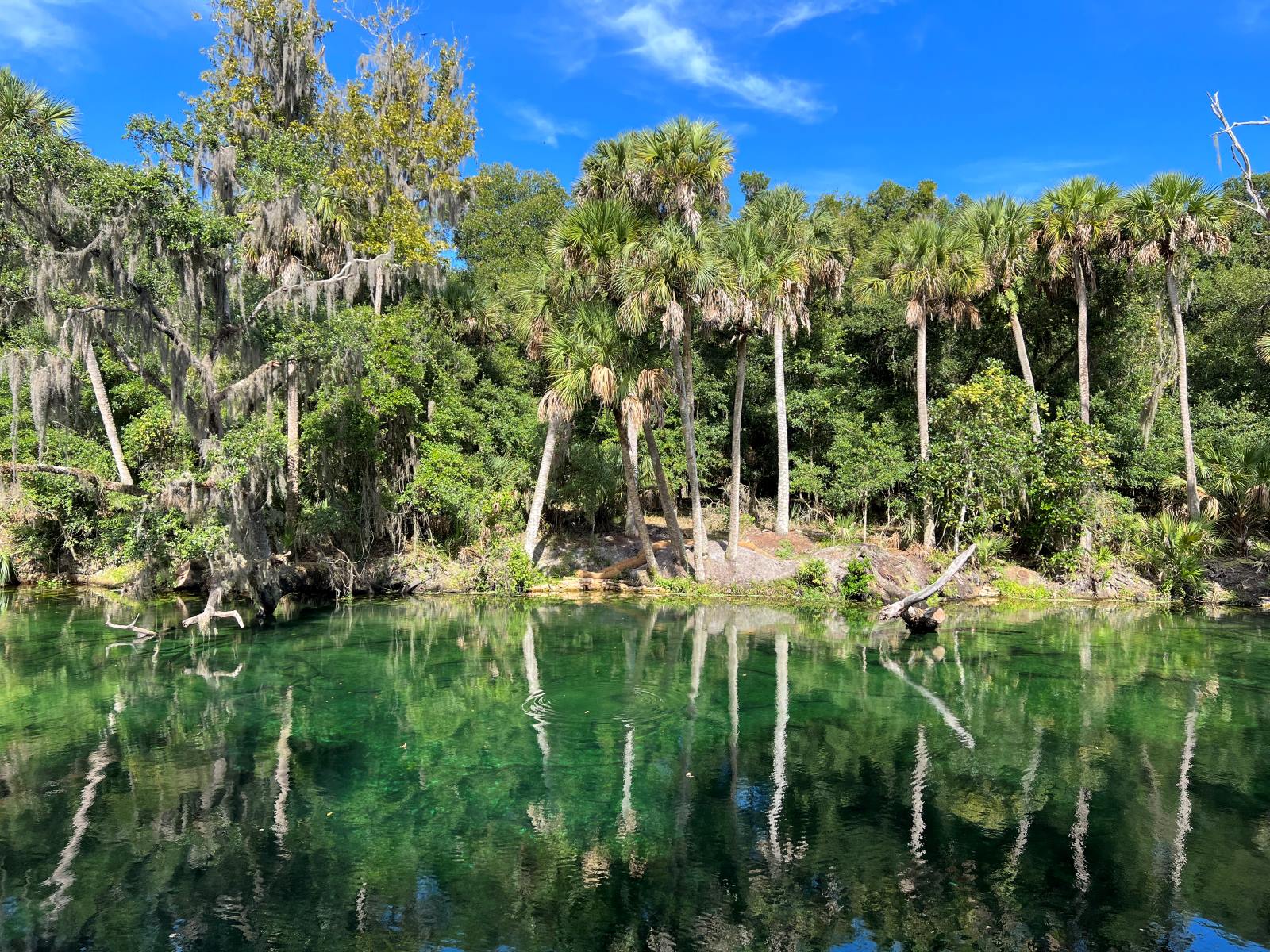 Exploring the Best of Florida's State Parks - The Florida Travel Girl