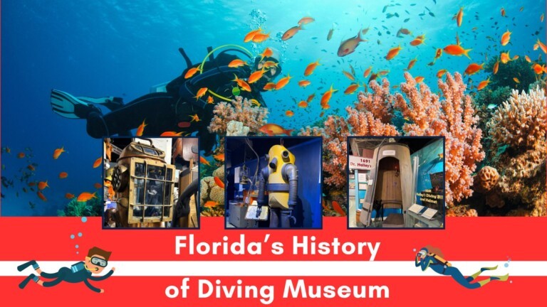 10 Incredible Things to See at the History of Diving Museum - The ...