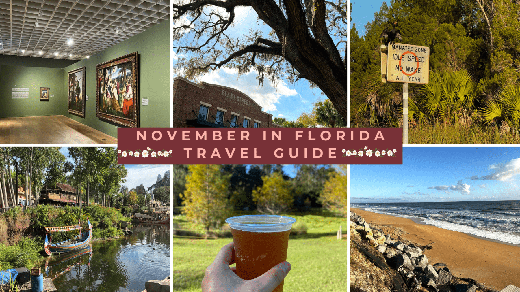 The Local's Guide to Exploring Florida This November - The Florida ...